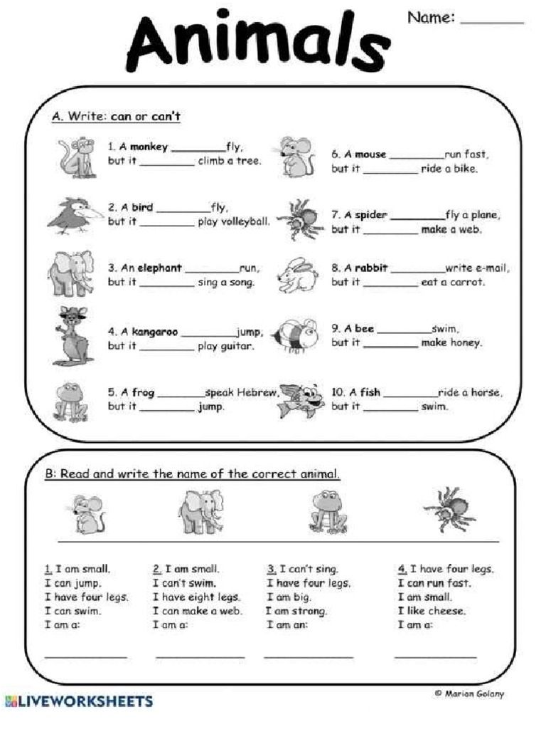 Animal Grade 1 | PDF