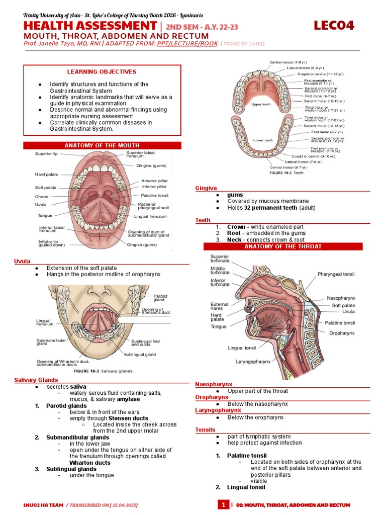 Lec04 - Assessing Mouth, Throat, Abdomen and Rectum | PDF | Tongue | Abdomen