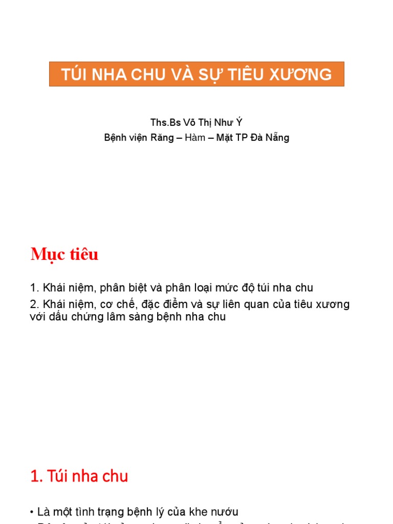 Túi Nha Chu Và S Tiêu Xương | PDF