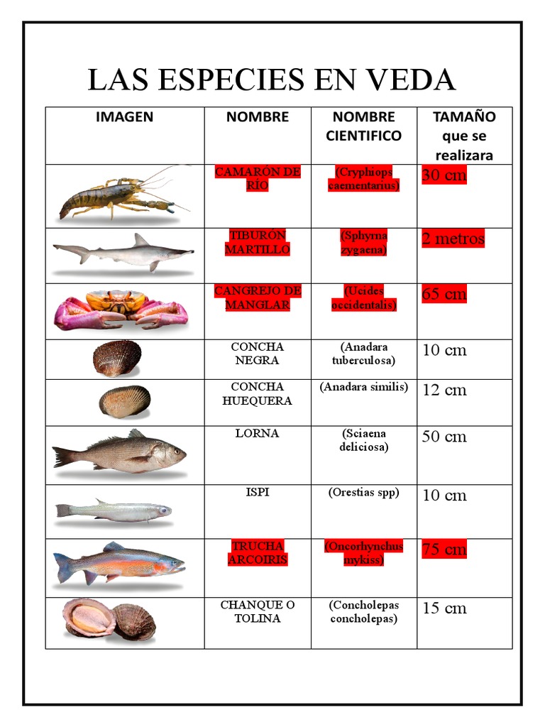 Las Especies en Veda | PDF | Ciencias sociales