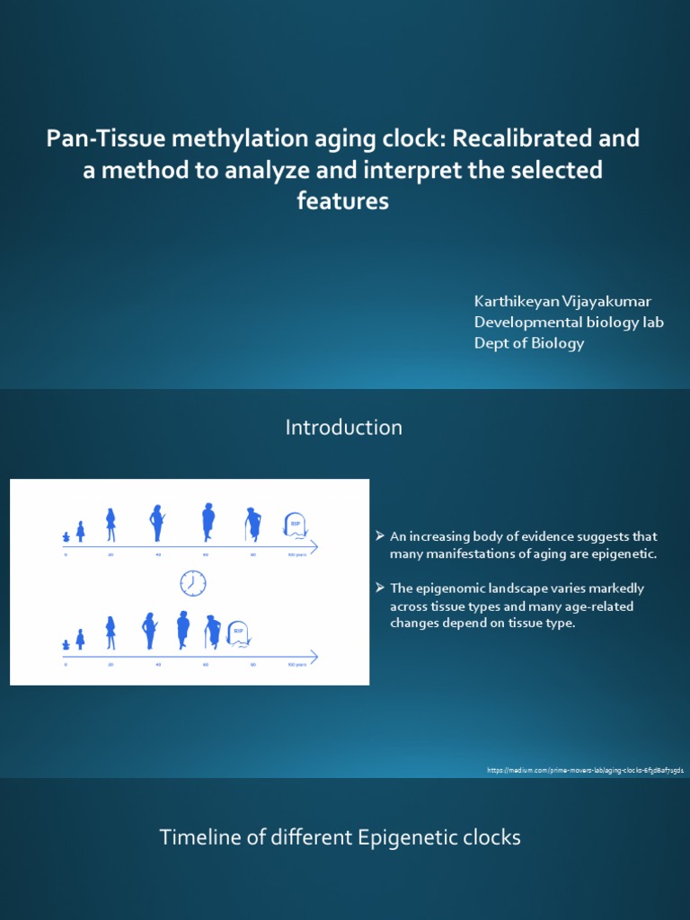 Pan-Tissue Methylation Aging Clock: Recalibrated and A Method To Analyze and Interpret The ...