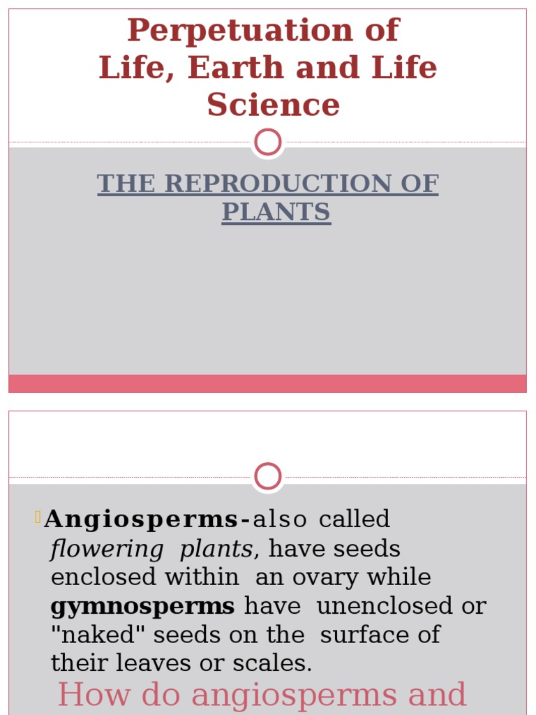 LECTURE 6 Perpetuation of Life | PDF | Fertilisation | Flowers