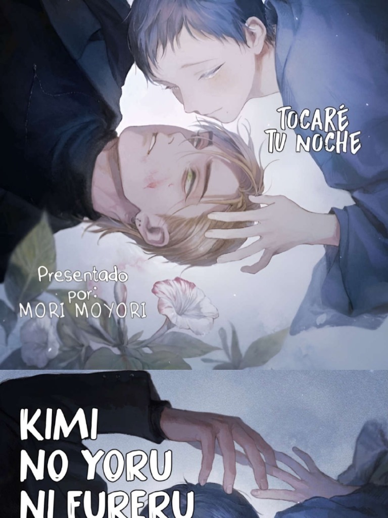 04 Kimi No Yoru Ni Fureru | PDF