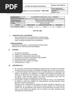 MODELO de ACTA CAE | PDF