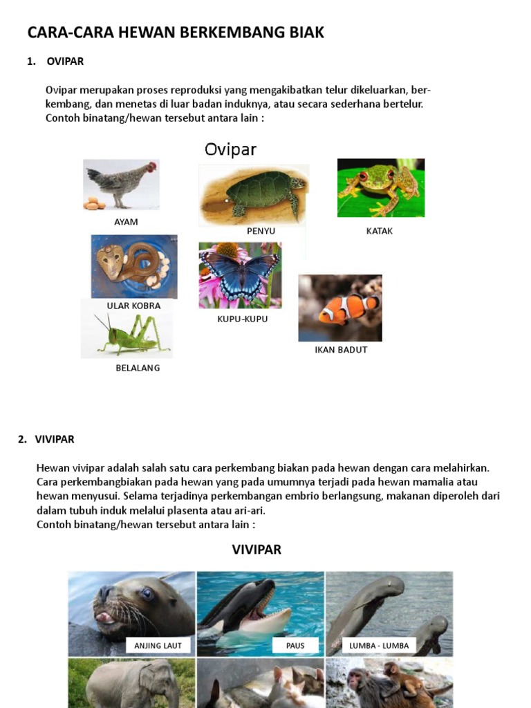 Perkembang Biakan Binatang | PDF | Sains & Matematika