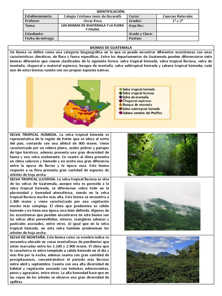 Los Biomas de Guatemala | PDF | Selva | Zona tropical