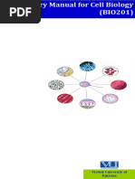 Lab Activity 4 Preparing A Wet Mount | PDF | Cell (Biology) | Staining