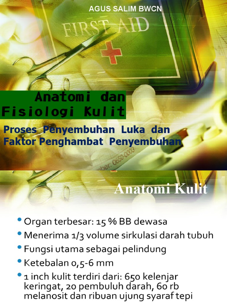 Anatomi Dan Fisiologi Kulit Proses Penyembuhan Luka Dan Penghambat ...