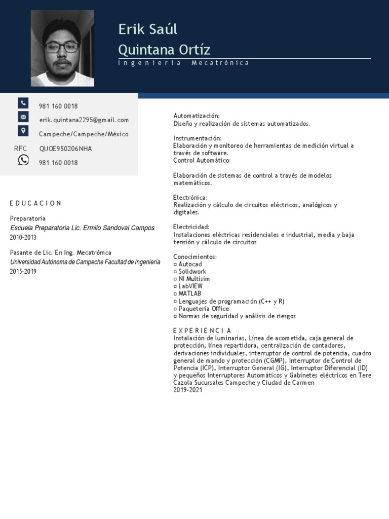 Erik CV Actual | PDF | Ingeniería | Ciencias de la Computación