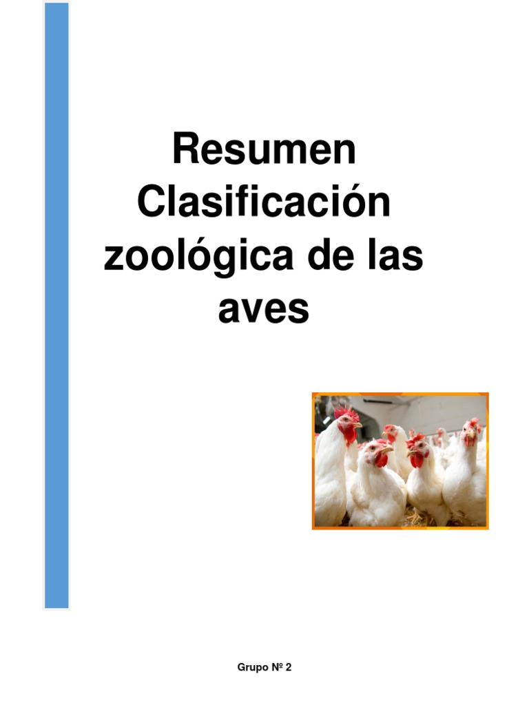 Resumen Clasificación Zoológica de Las Aves | PDF | Sistema ...