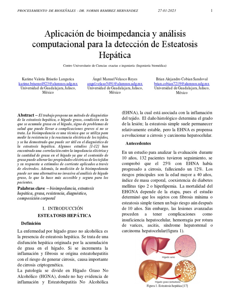 Tarea#2 Reporte de Proyecto Equipo2 | PDF | Resistencia a la insulina | Impedancia eléctrica