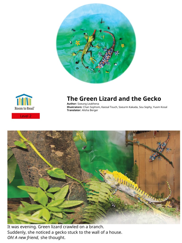 Lili and Koko: A Lizard's Tale | PDF | Creative Commons License | Lizard