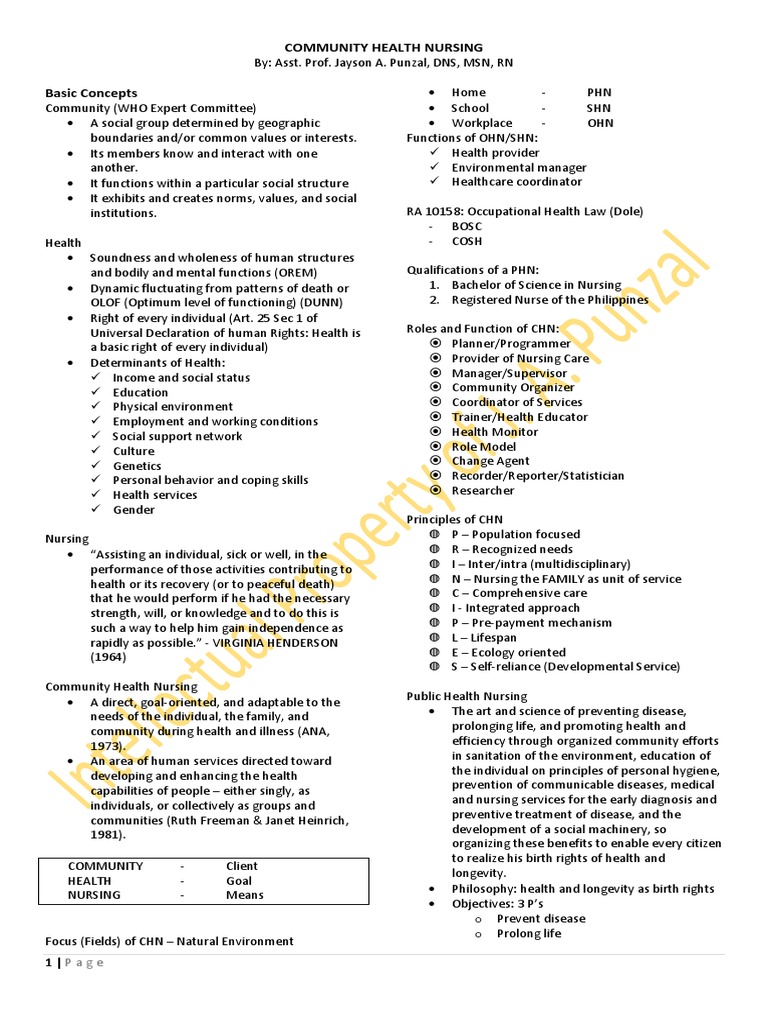Community Health Nursing Overview | PDF | Nursing | Health Care