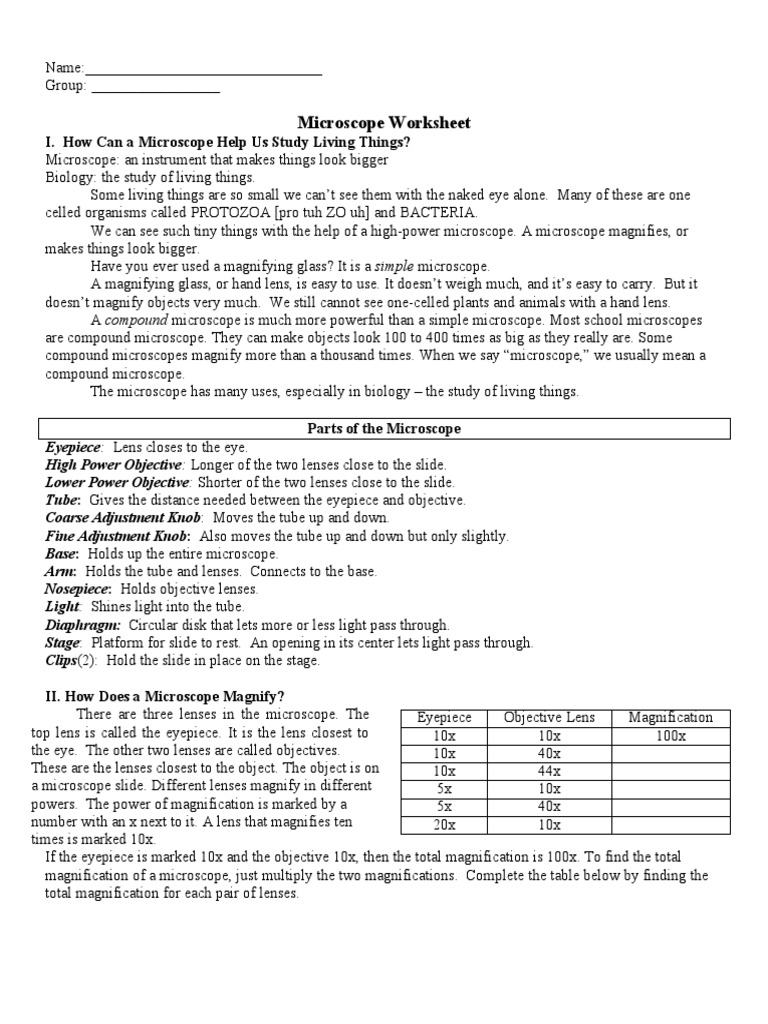Final Microscope - Worksheet | PDF | Microscope | Optics