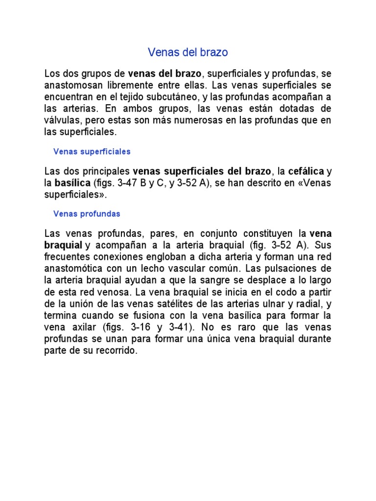 Anatomía de las venas del brazo | PDF