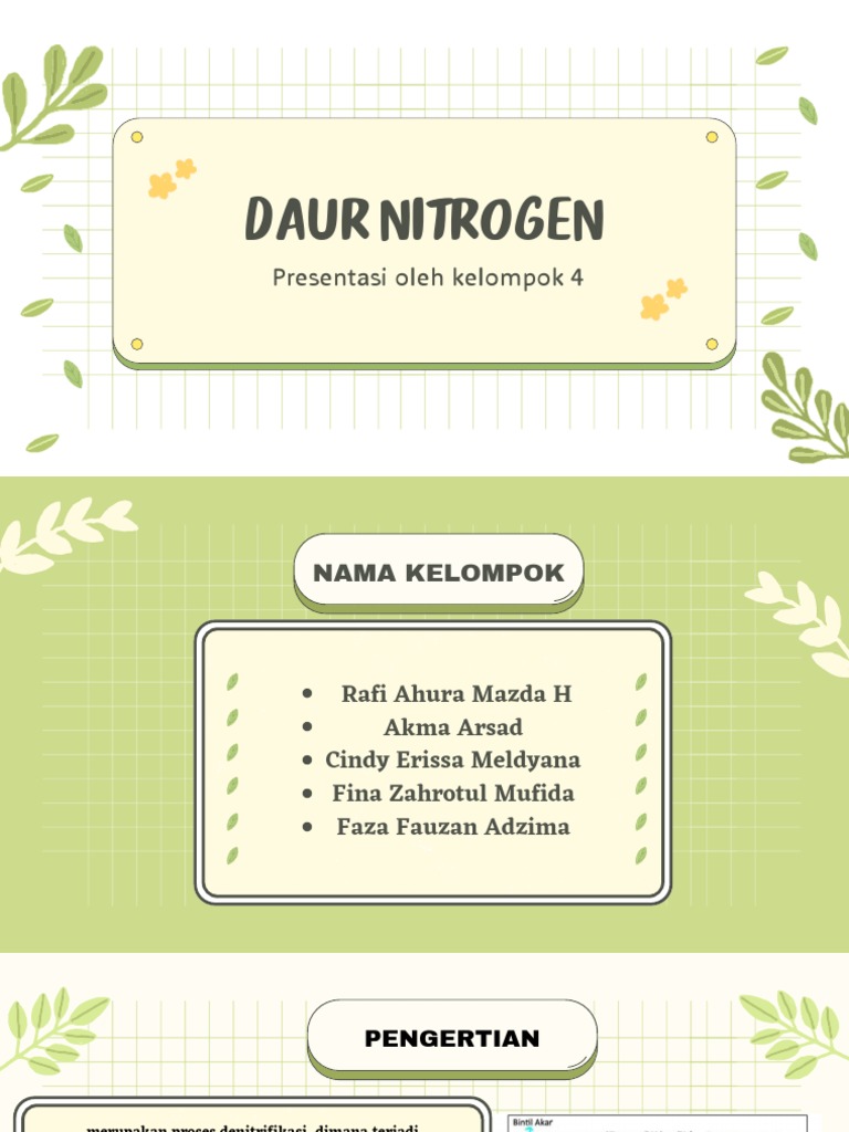 Daur Nitrogen X-5 | PDF