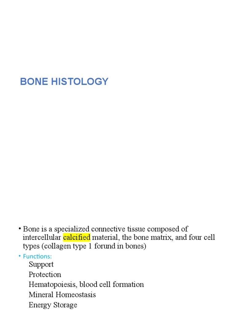 Bone Histology Télécharger Gratuitement Pdf Bone Osteoblast