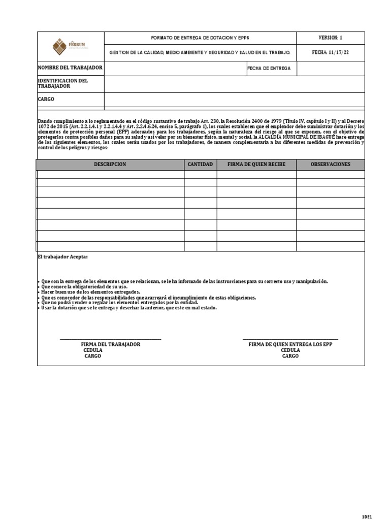 Formato de Entrega de Dotacion y Epps | PDF