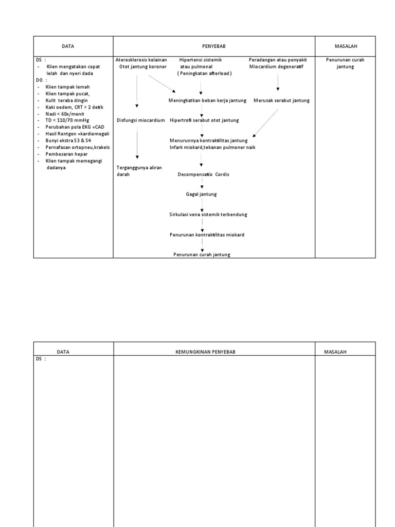 Sak CHF (Analisa Data) | PDF