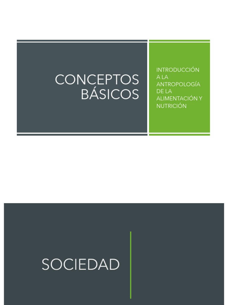 Clase1-Conceptos - Basicos | PDF | Sociedad | Antropología