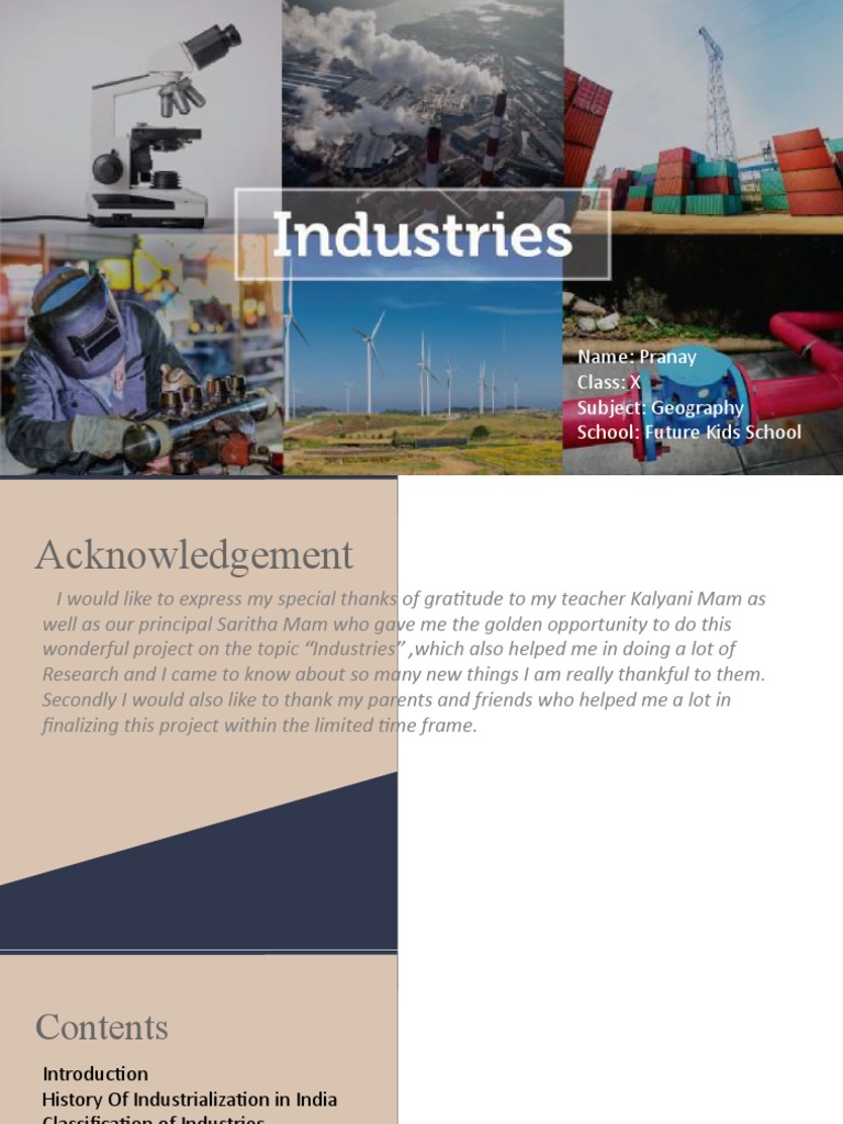 Industries in India Project by Pranay | PDF | Cement | Ice Cream