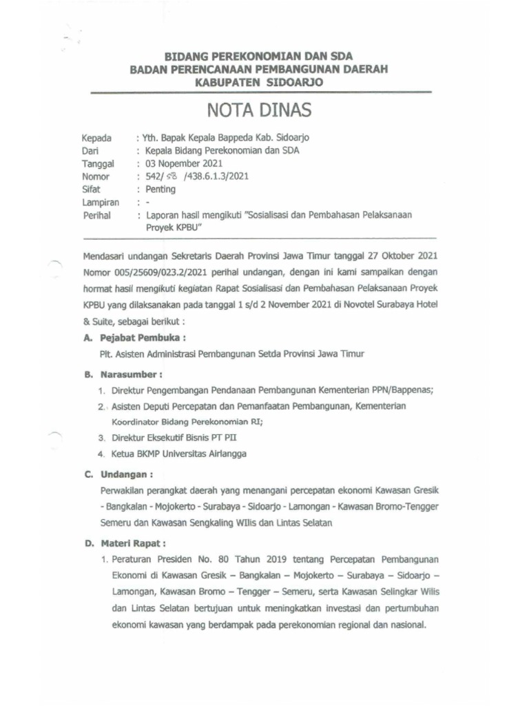 Proyek Strategis Nasional | PDF