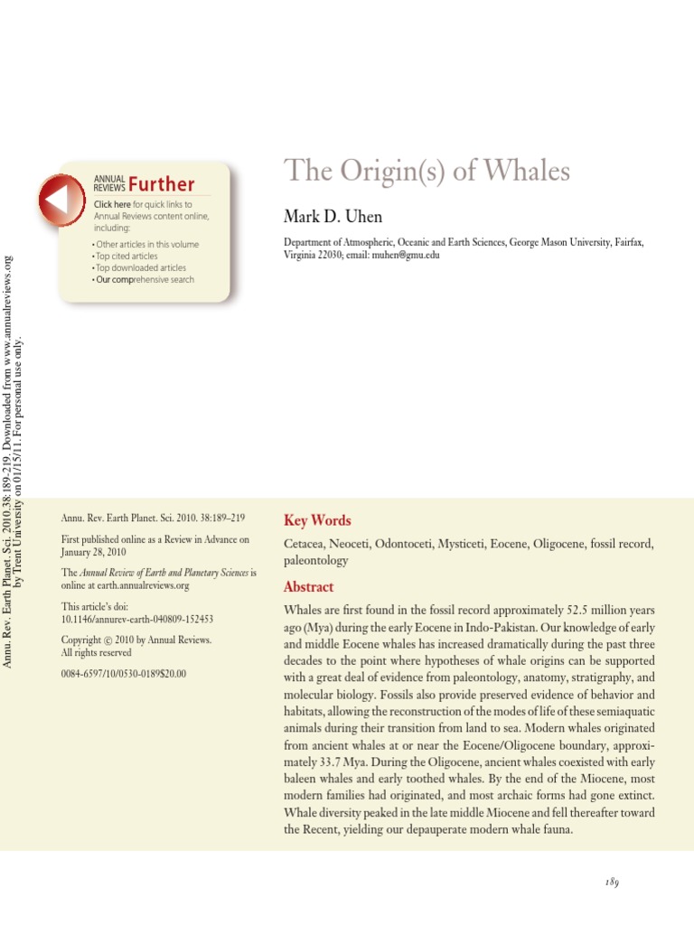 Whale Evolution Overview | PDF | Cetacea | Tooth