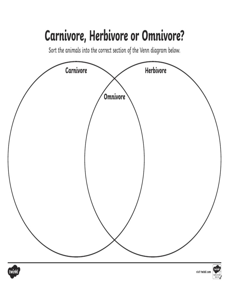 Year 4 Science Omnivore Carnivore or Herbivore Activity With Answers | PDF