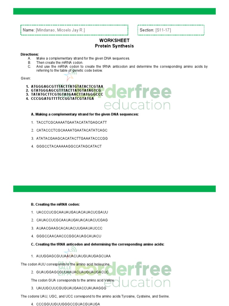 Protein Synthesis Pdf