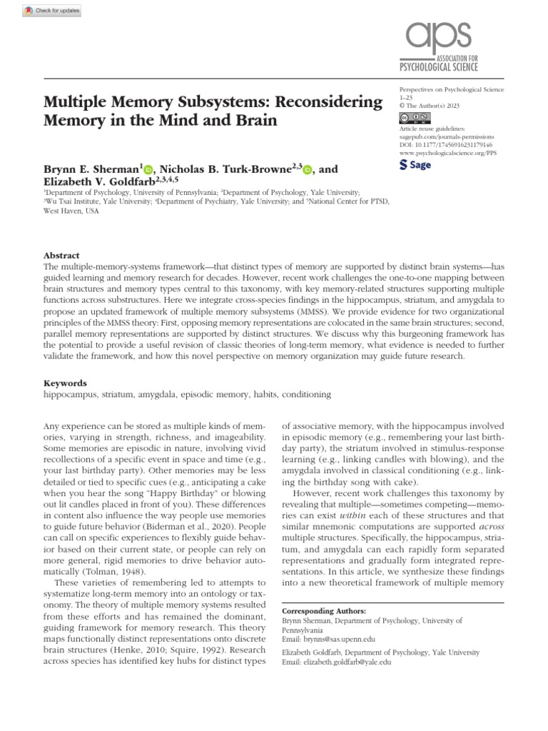 Sherman Et Al 2023 Multiple Memory Subsystems Reconsidering Memory in ...