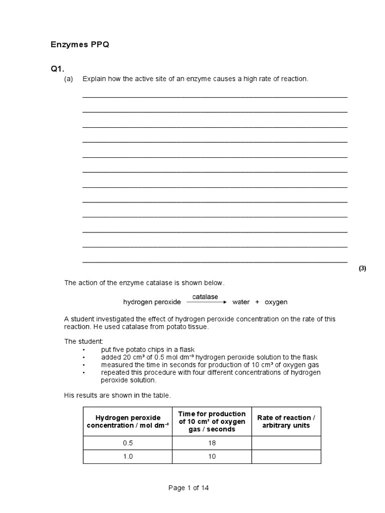 Enzymes PPQ 2 | PDF | Active Site | Catalase