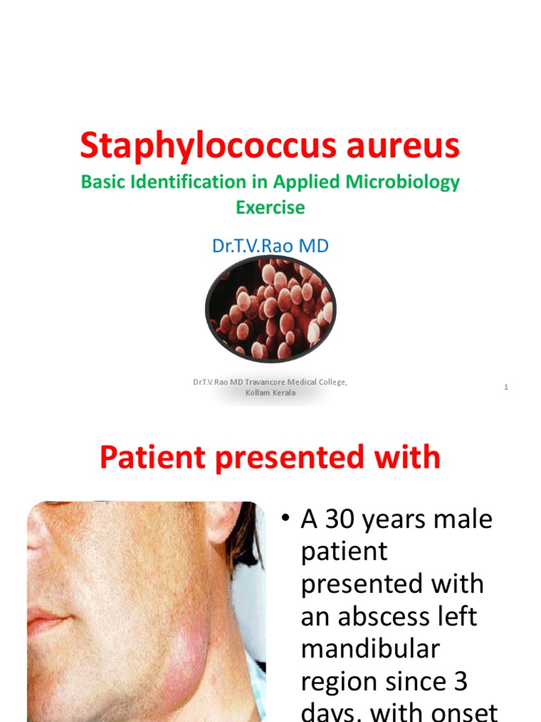 Staphylococcus Aureus A Applied Microbiology Exercise | PDF | Staphylococcus | Staphylococcus Aureus
