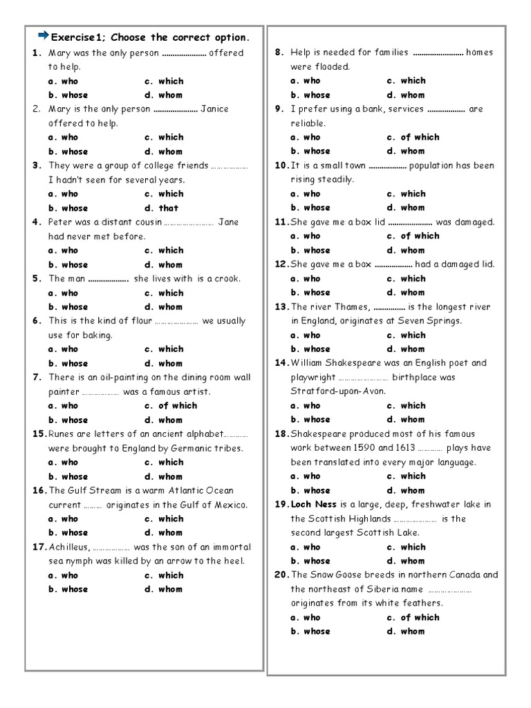 Relative Clauses Grammar Drills Grammar Guides 62339 | PDF | Travel