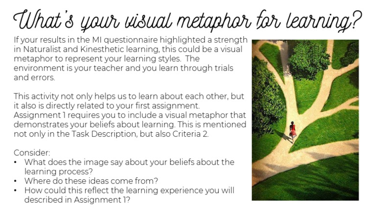 Visual Metaphors for Learning Styles | PDF