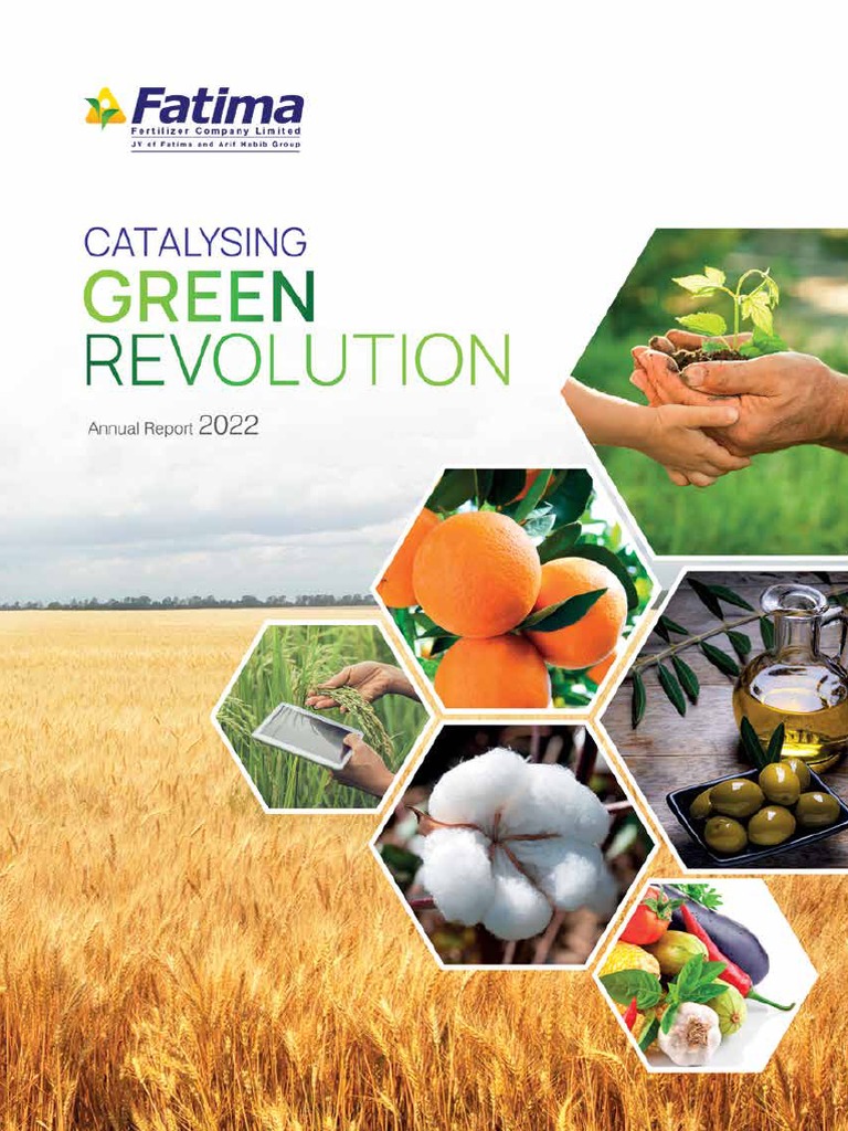 Fatima 2022 | PDF | Corporate Social Responsibility | Employment