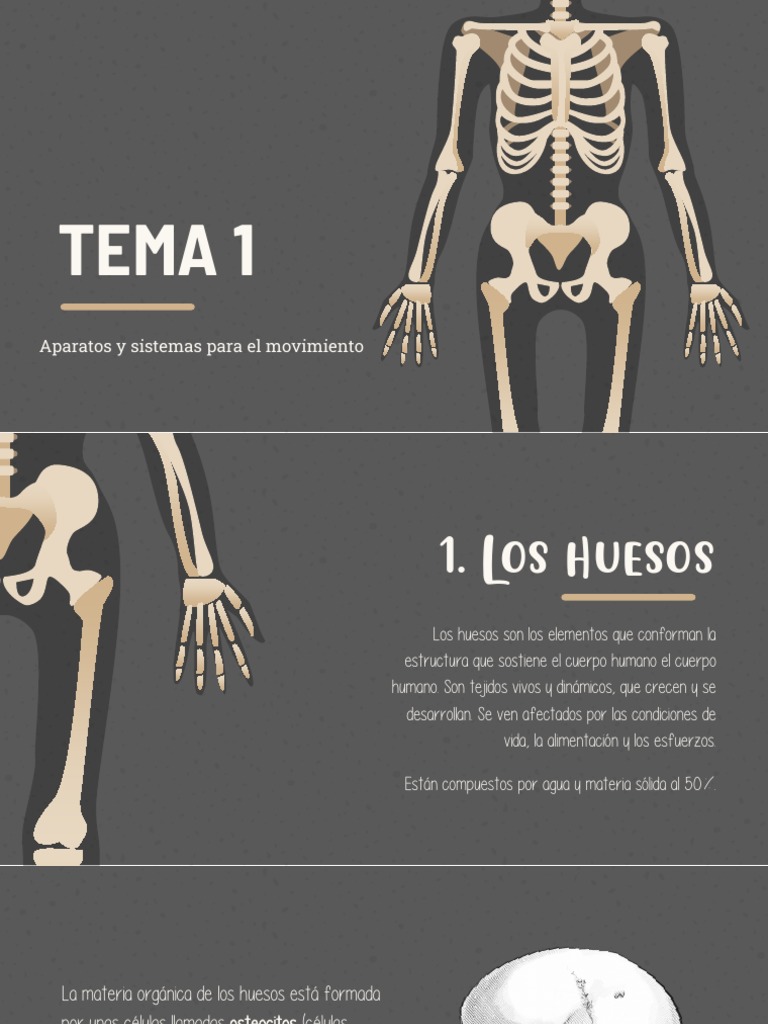 E. F. Trabajo 789 | PDF | Hueso | Articulación