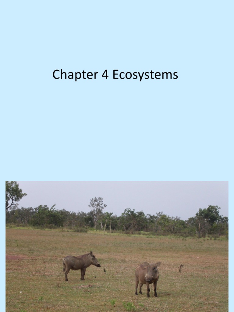 Unit 4 Ecosystems | PDF | Ddt | Ecosystem