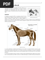 Théorie du Galop 5 : Apprentissage et Techniques | PDF | Allure ...