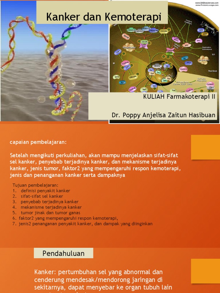 2021 Farmakoterapi kanker | PDF