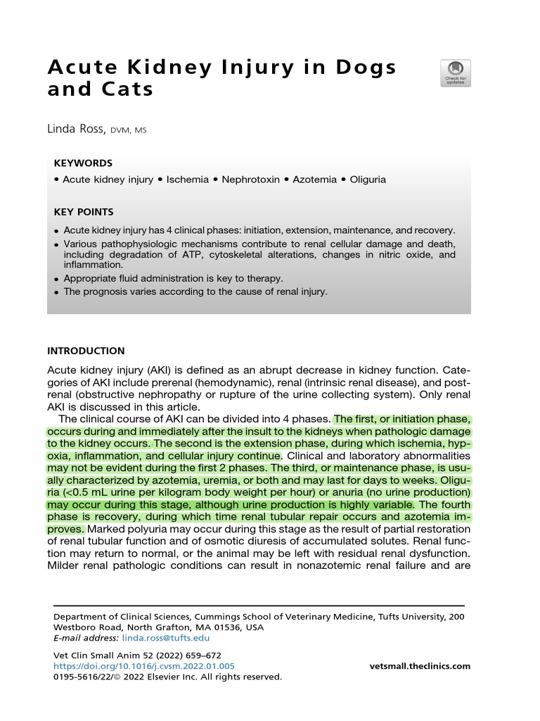 ACute Kidney Injure Dogs and Cats | PDF | Dehydration | Creatinine