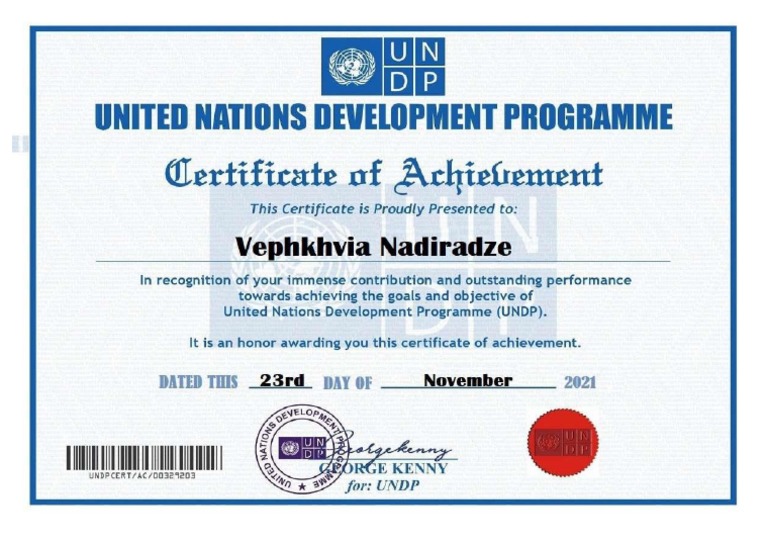 Undp Certificate | PDF