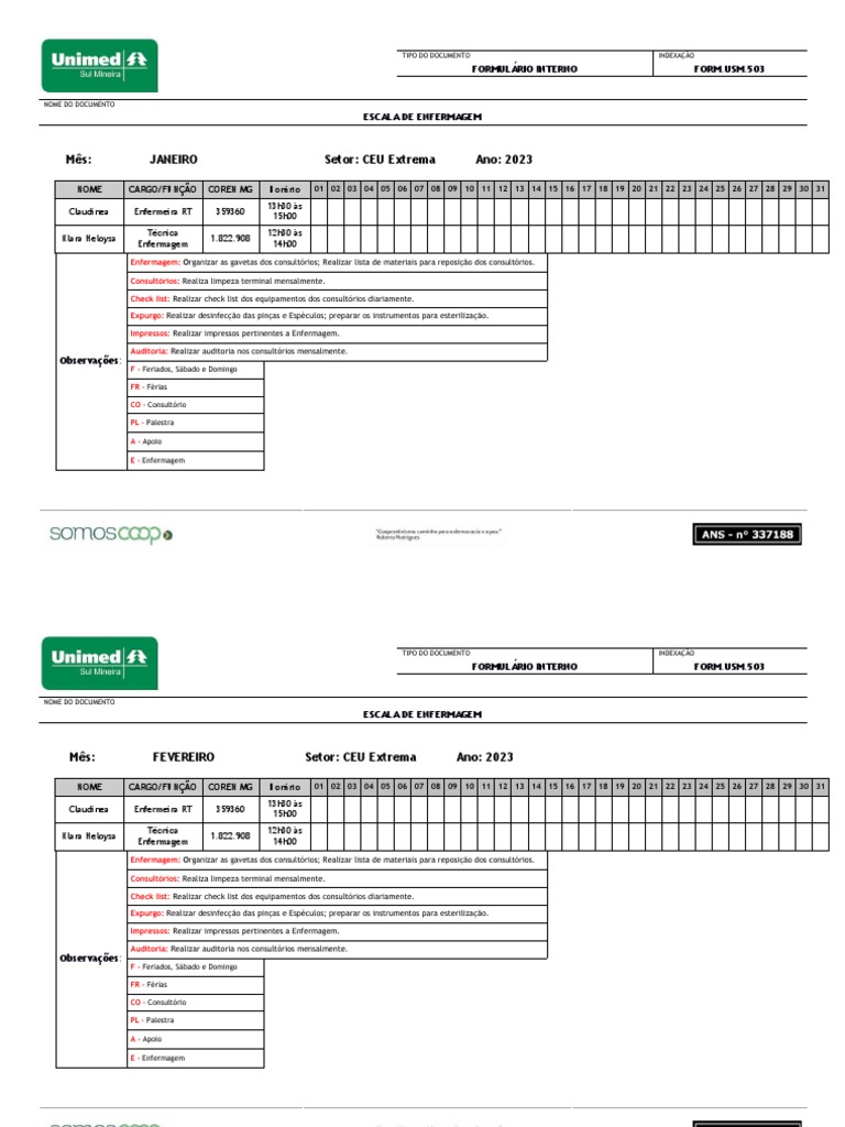 FORM - USM.xxx ESCALA DE ENFERMAGEM | PDF