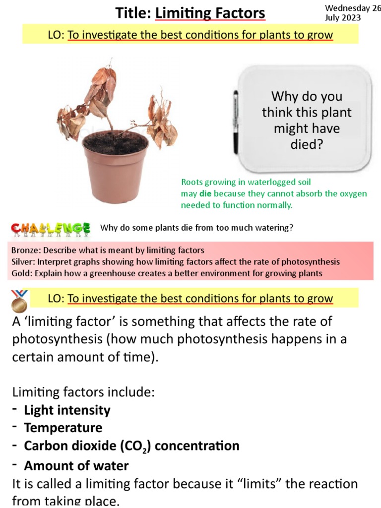 Limiting Factors | PDF | Photosynthesis | Plants
