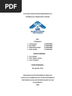 Kartu Soal Akm Nisa Ipa Kls 9 Sm 1 | PDF