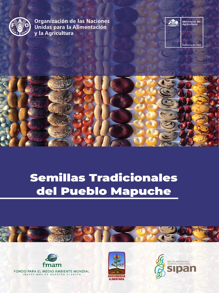 Catalogo Semillas Del Pueblo Mapuche - Baja | PDF | Maíz | Phaseolus ...