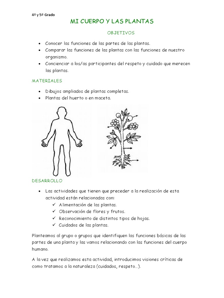 Mi Cuerpo y Las Plantas | PDF