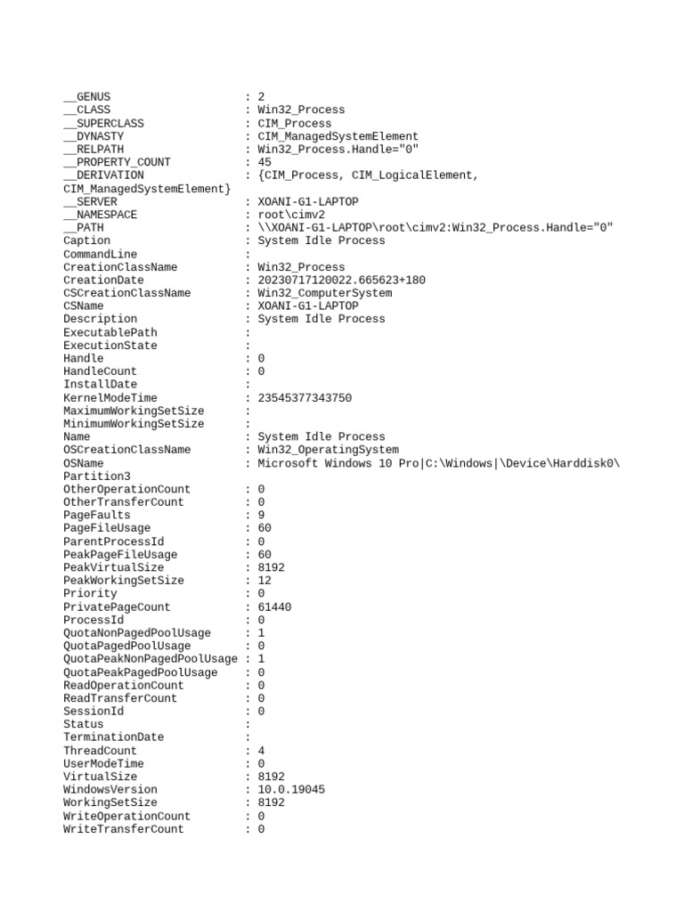 Windows Process Details | PDF | Command Line Interface | Computer Architecture