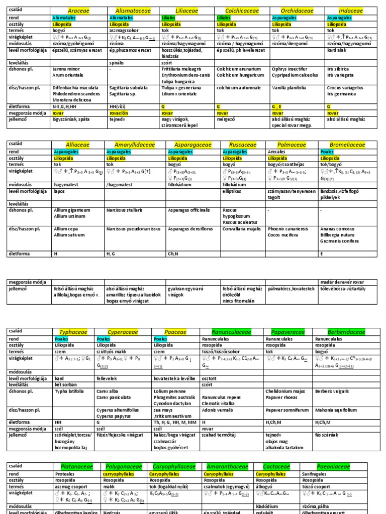 NT ZH - Labor - Rendszertani Táblázat | PDF