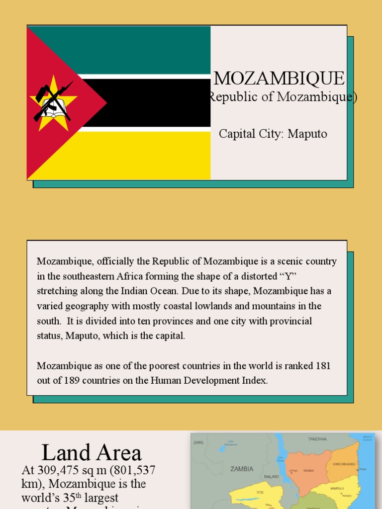Marketing Plan For MOZAMBIQUE - PPT | PDF | Mozambique | Food And Drink