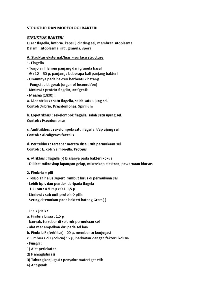 Struktur Dan Morfologi Bakteri Pdf Kajian Bahasa Asing